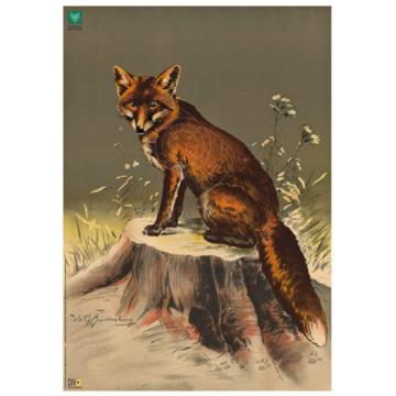 DJV-Target No.3 Fox - Targets traps - AKAH