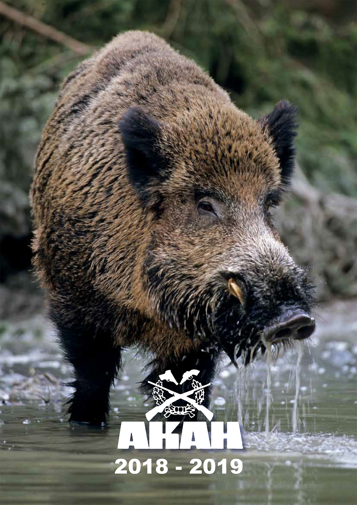 AKAH Katalog 2018/2019 - AKAH - Albrecht Kind GmbH