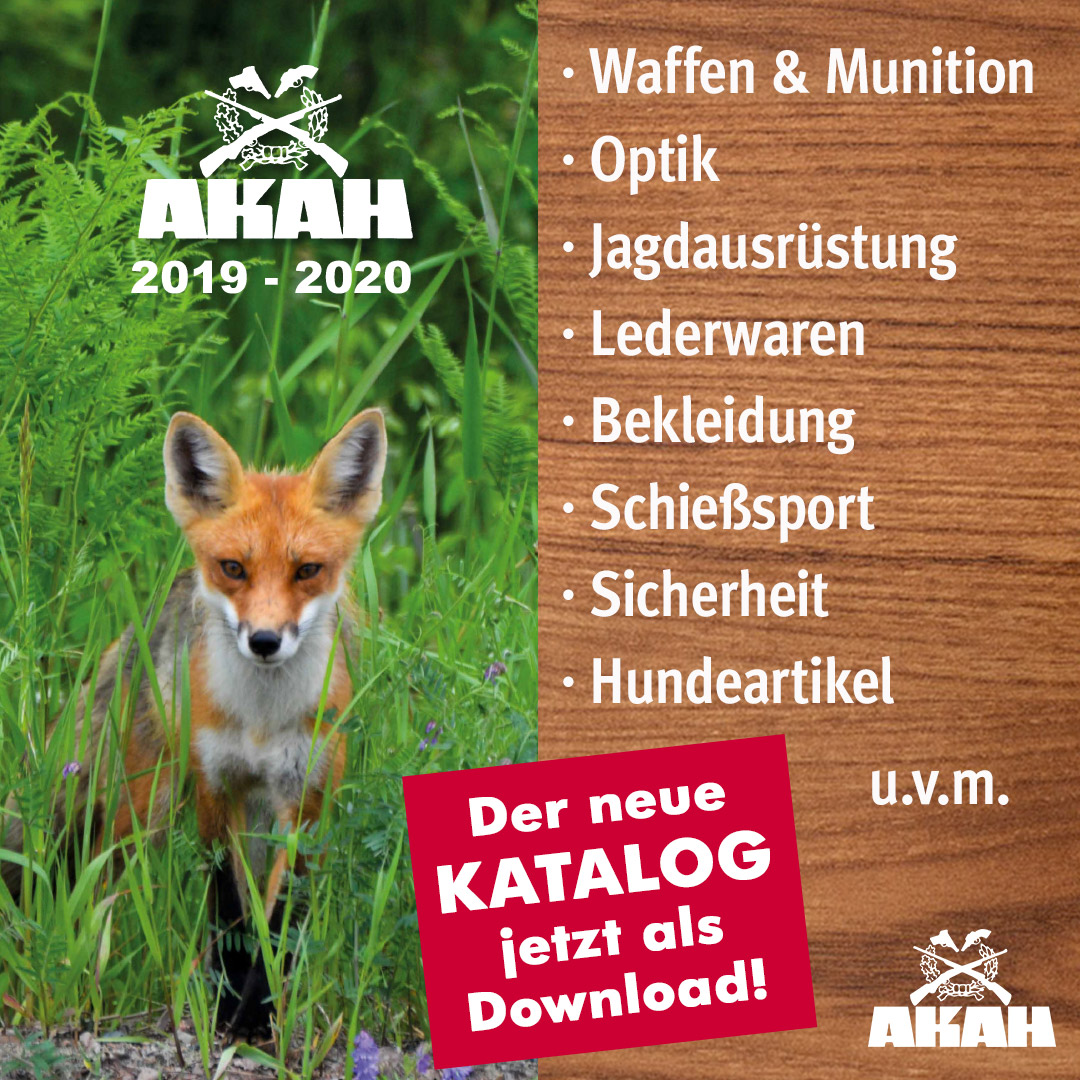 AKAH Katalog 2019/2020 jetzt als Download verfügbar! - AKAH - Albrecht ...